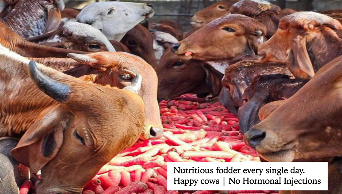 Hetha Organics - Cruelty Free Desi Cow Farms– Hetha Organics LLP