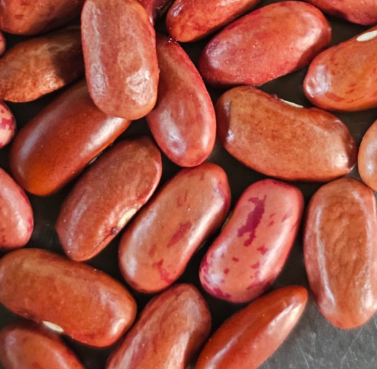Himalayan Chitkabra Rajma / Chitra Rajma