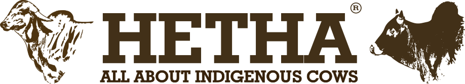 Hetha Organics - A2 Milk, A2 Cultured Ghee, Panchagavya Medicines ...