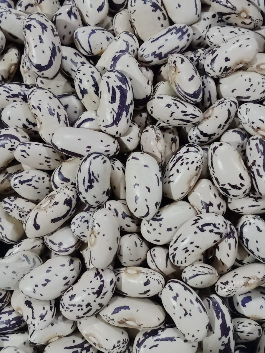 Himalayan Chitkabra Rajma / Chitra Rajma