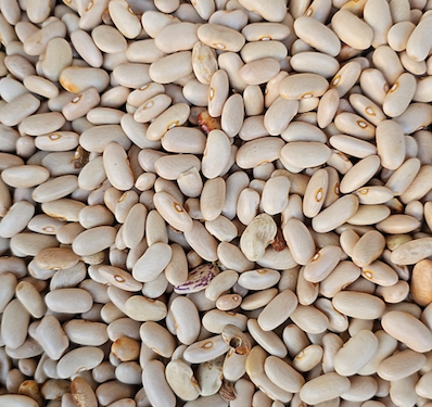 Himalayan Chitkabra Rajma / Chitra Rajma