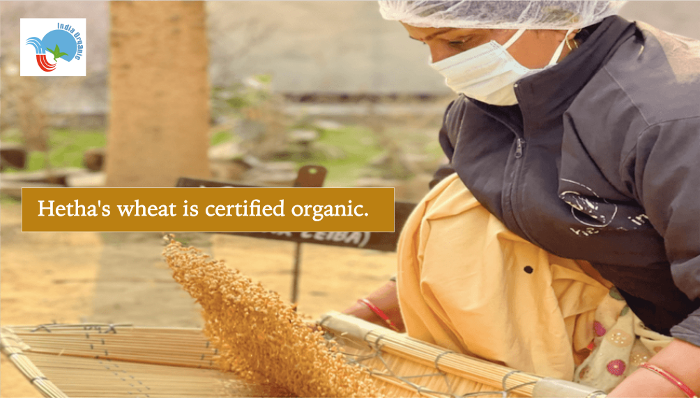 Hetha Organics - Cruelty Free Desi Cow Farms– Hetha Organics LLP